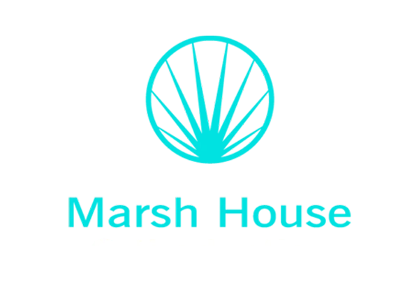 The science behind dental implants: how they work and why they're effe